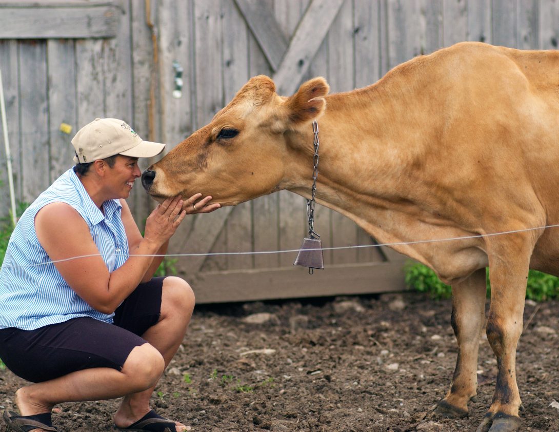 Spotlight on Organic Valley Co-op - Middlebury Food Co-op