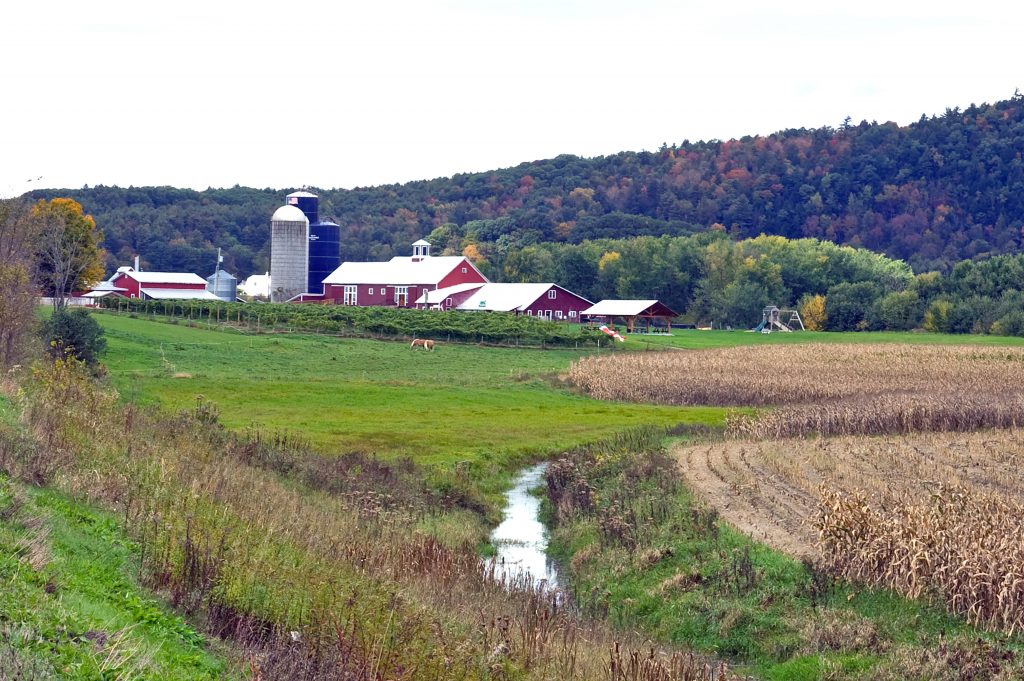 Spotlight on Boyden Farm - Middlebury Food Co-op