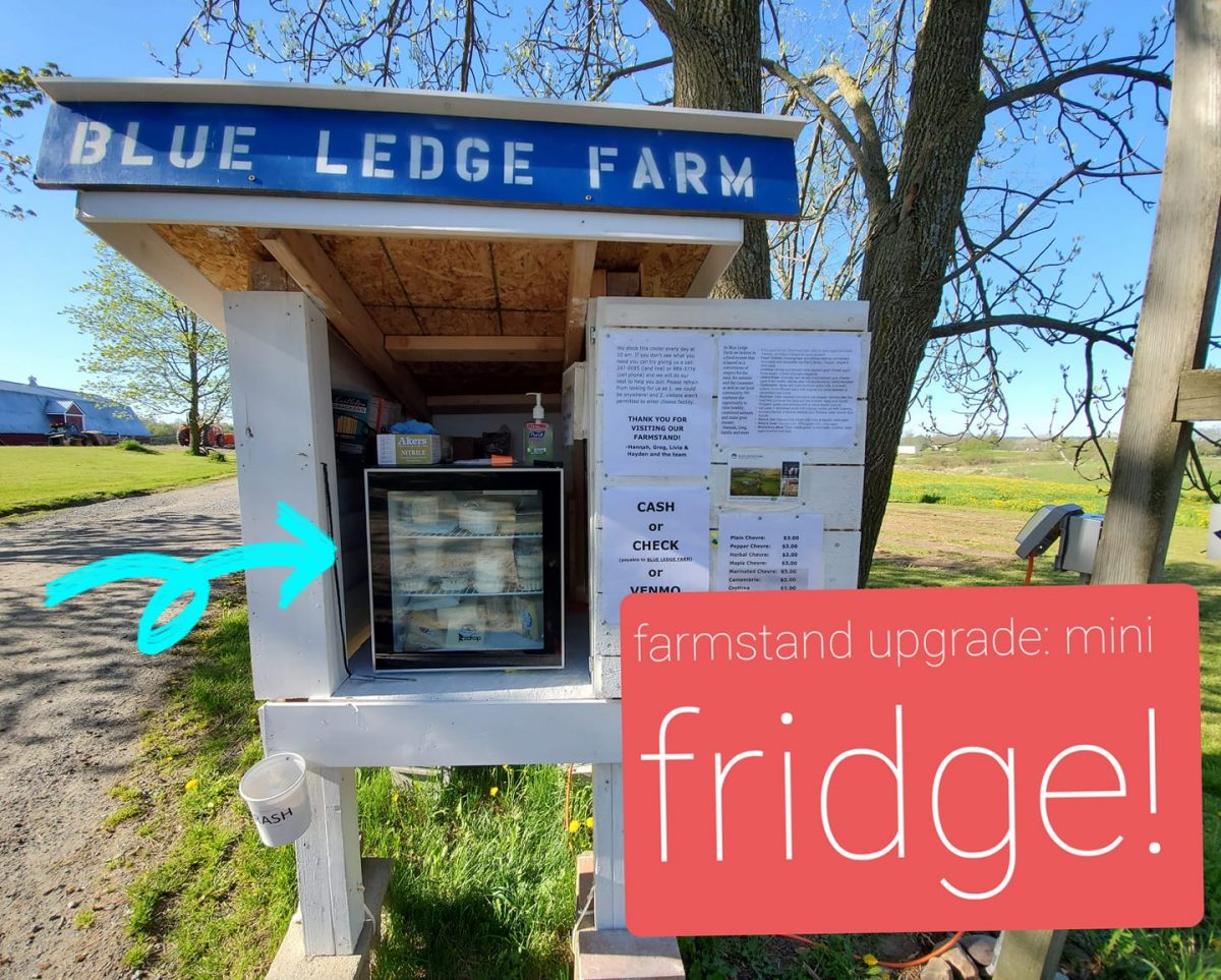 Spotlight on Blue Ledge Farm - Middlebury Food Co-op