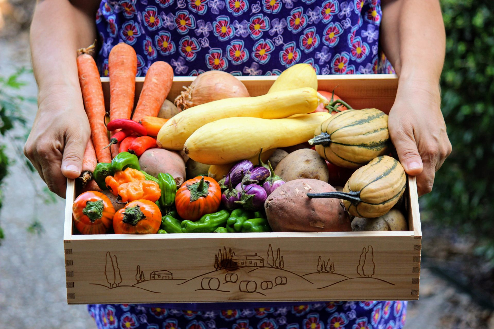 Resilient Local Food Systems CSA Photo - Middlebury Food Co-op