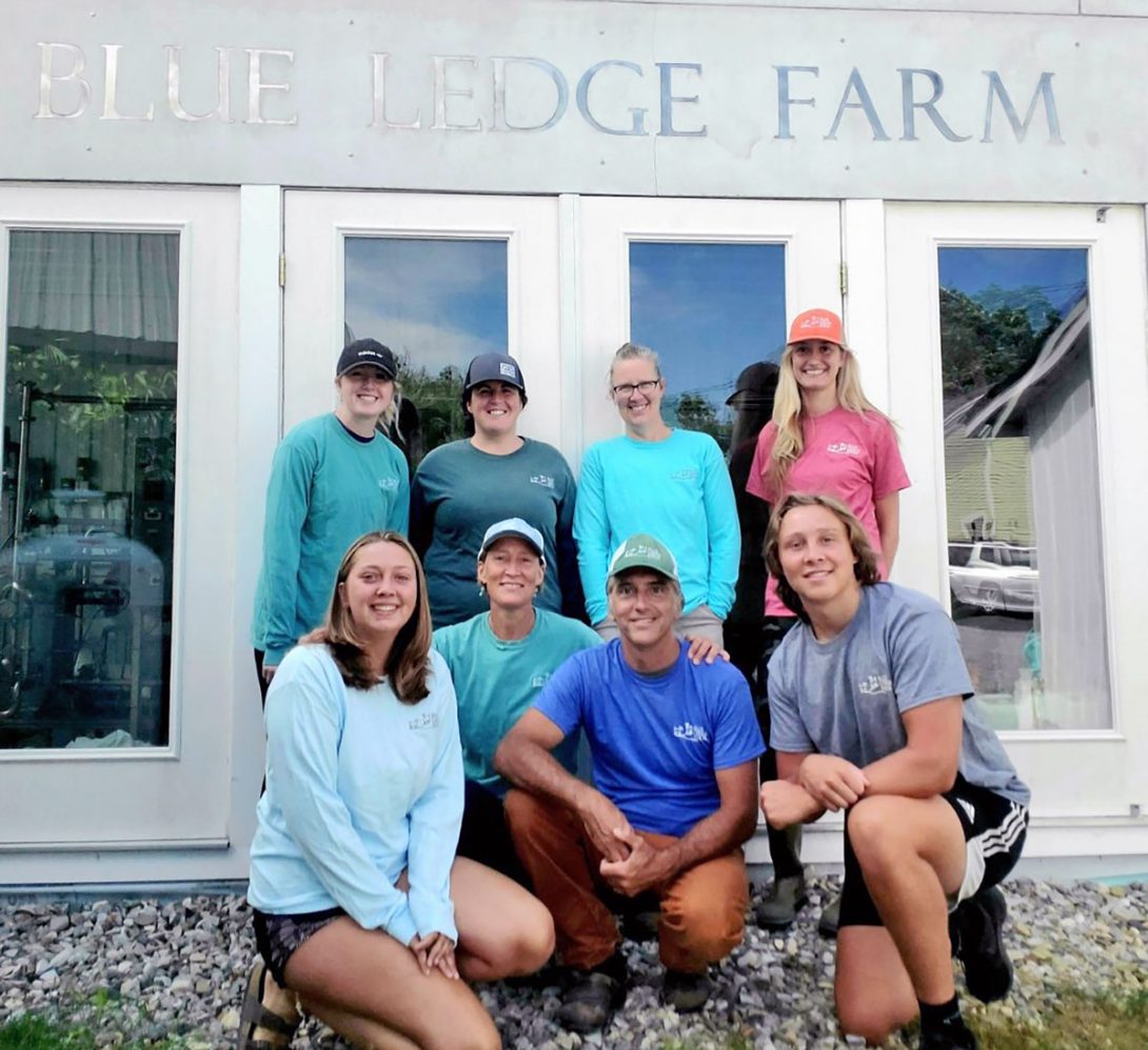 Spotlight on Blue Ledge Farm - Middlebury Food Co-op