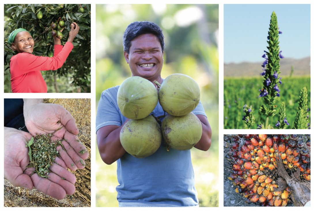 Spotlight on Nutiva - Middlebury Food Co-op