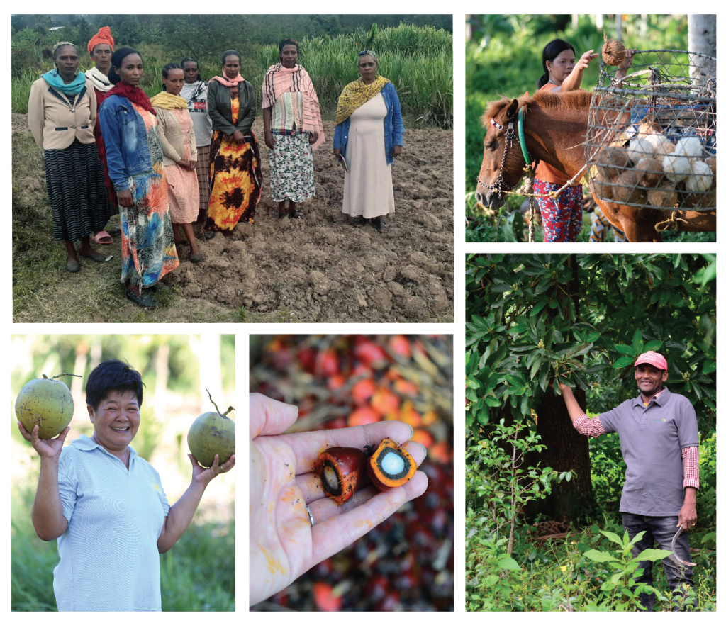 Spotlight on Nutiva - Middlebury Food Co-op